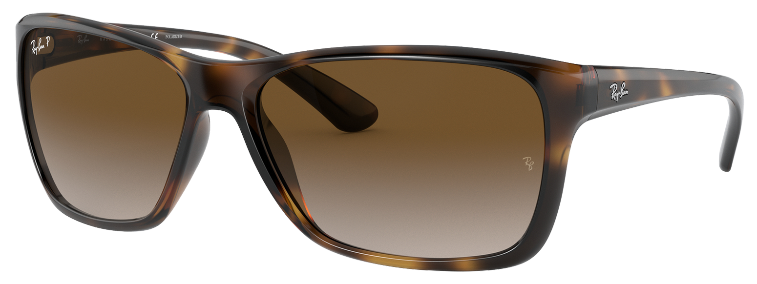 Ray-Ban RB4331 Gradient Polarized Sunglasses | Bass Pro Shops